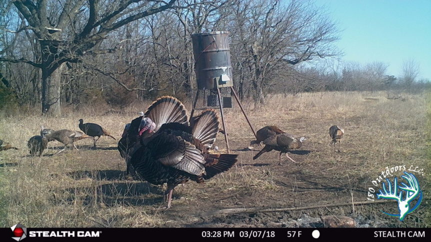 2018 Turkey Trail Cam Pictures - Hunt 180